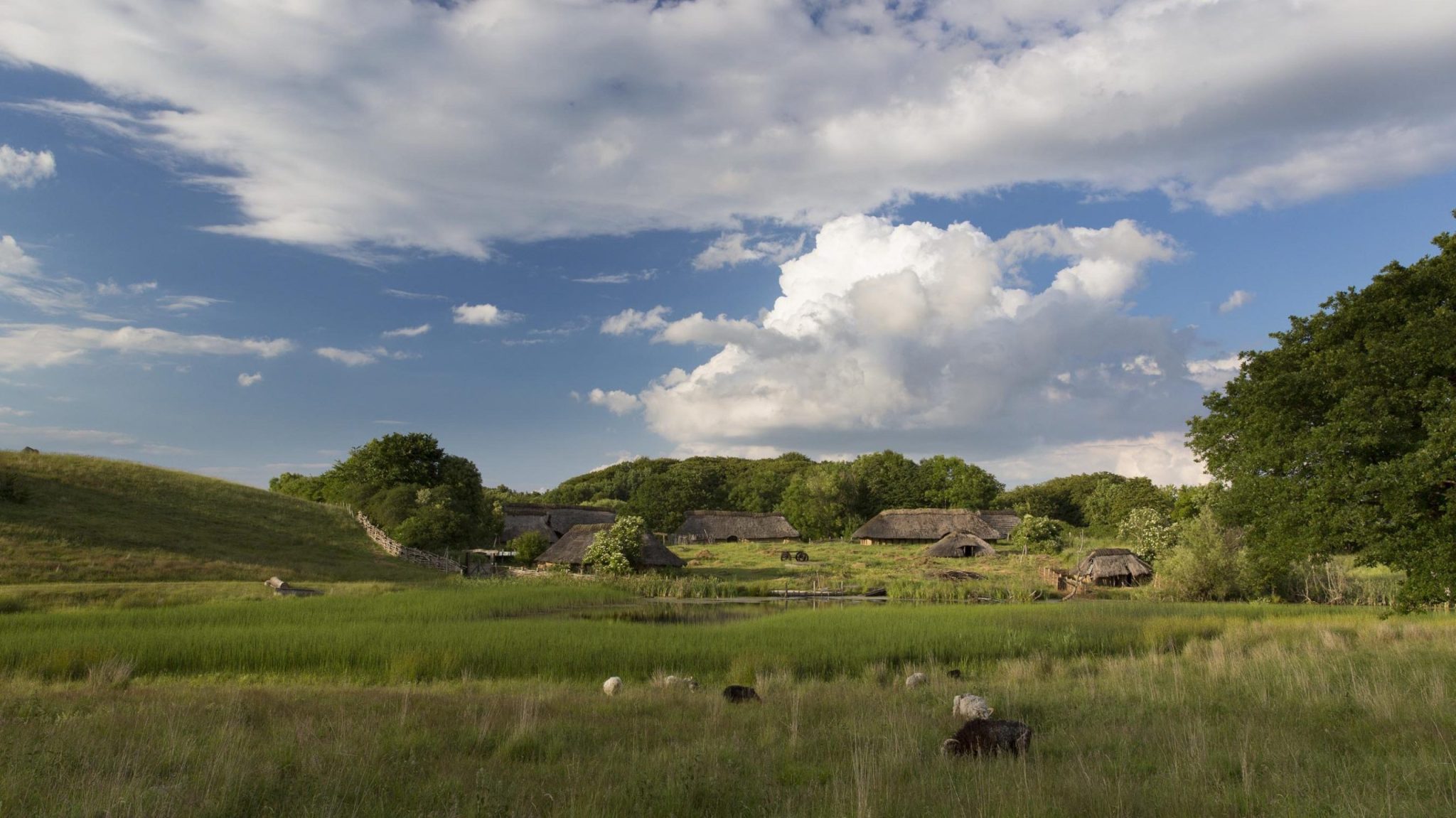 Home page - Sagnlandet Lejre